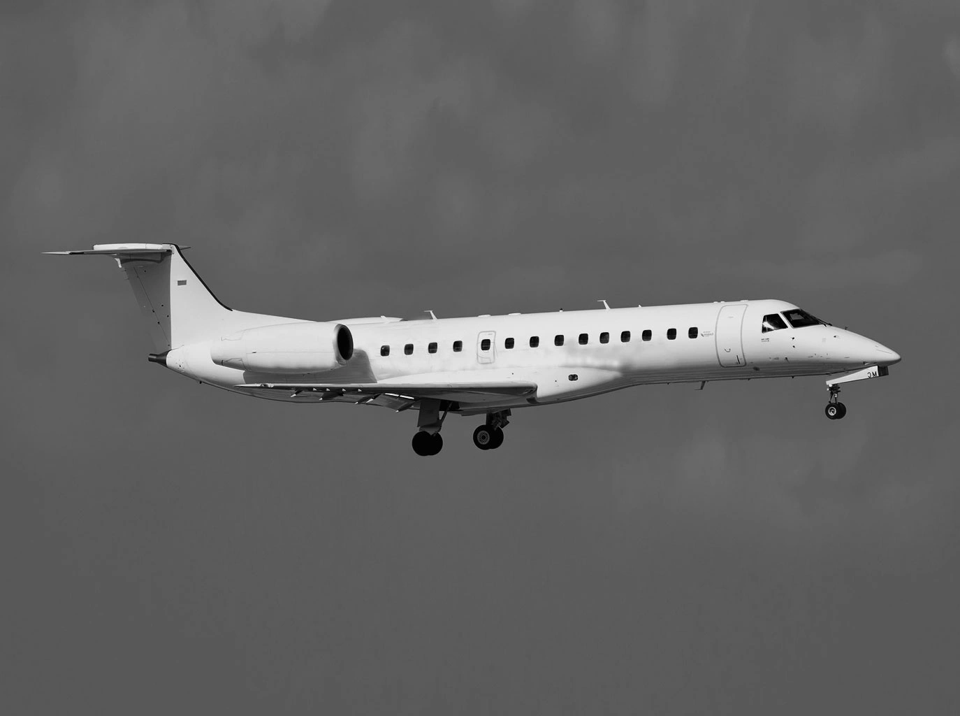 Embraer 135 Private Jet - Regional Private Jet Charter with Jet Miles